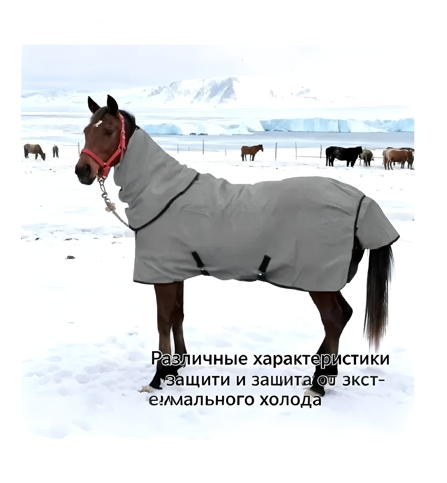 Попона для лошадей "Теплая защита", текстиль, серая, размер XL