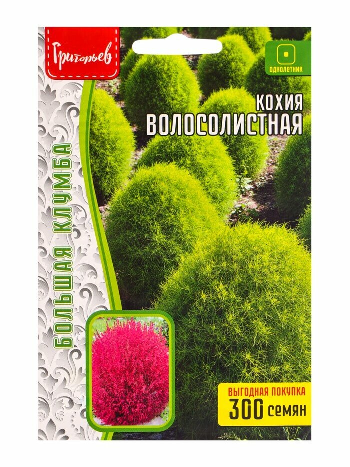 Семена цветов Кохия Волосолистная ВП 300шт. 12.29 г. 10967321