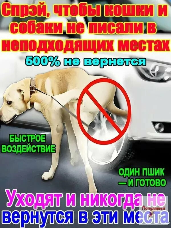 Спрей-отпугиватель для кошек и собак "Антигадин" защита мебели и ковров от меток и царапания. Натуральный состав, мгновенное действие.