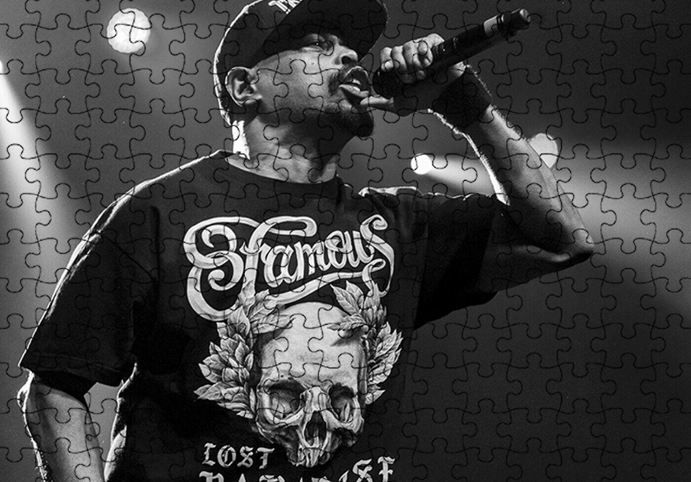 Пазл картонный А3: модель Cypress Hill - 2