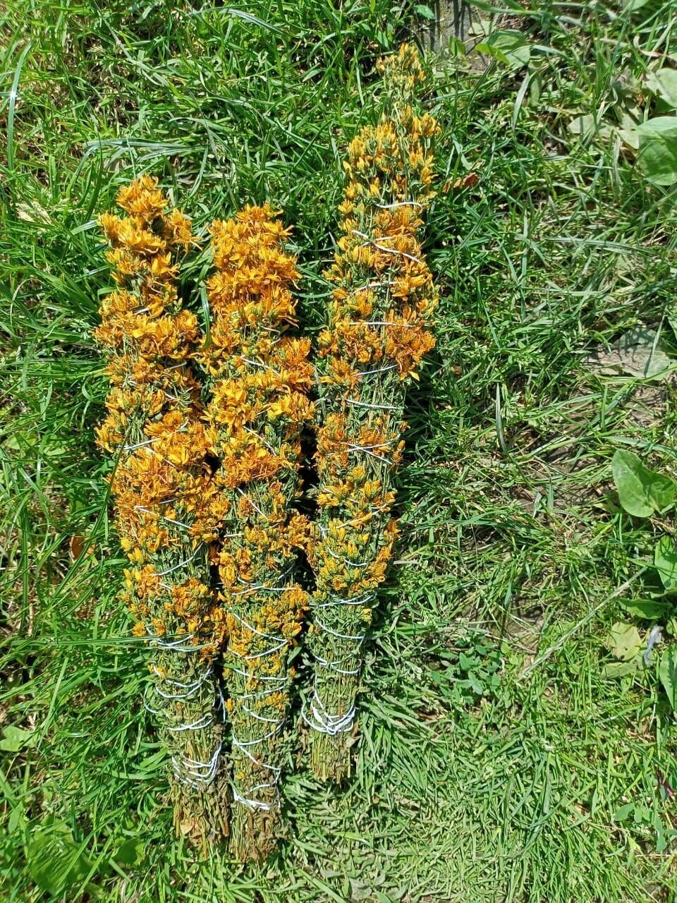 Набор из трёх скруток из зверобоя. Окуривание помещений, запарка для бани, создание композиций.