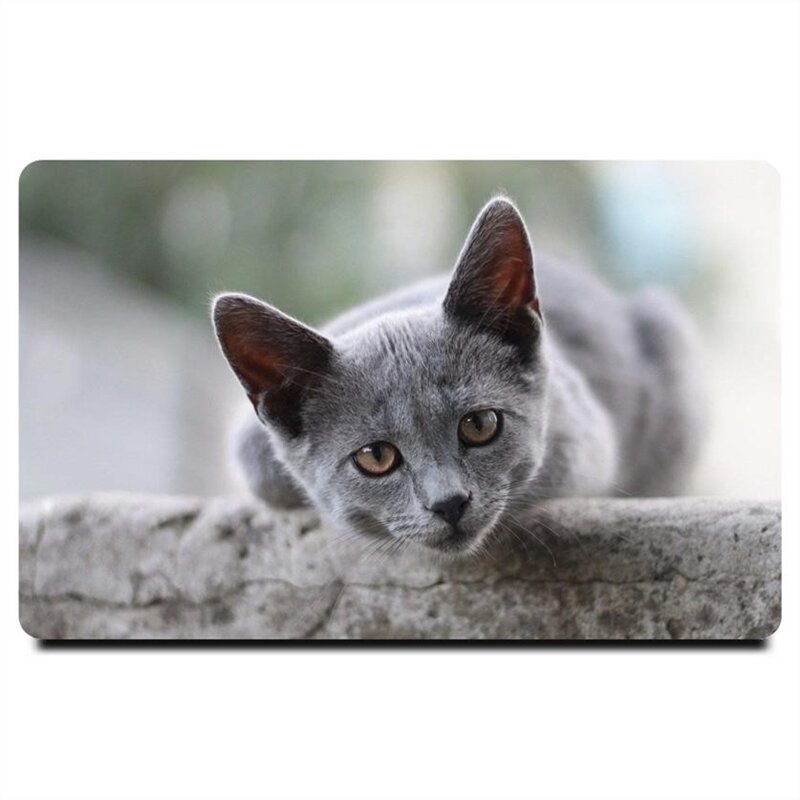 Магнит на холодильник "Котики"