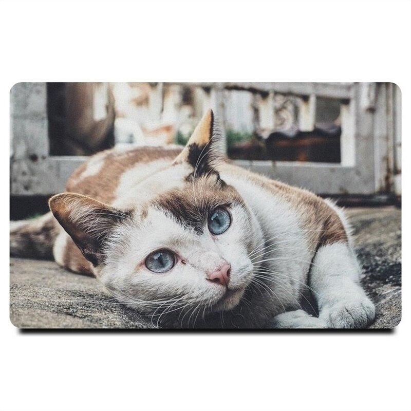 Магнит на холодильник "Котики" 5 шт.