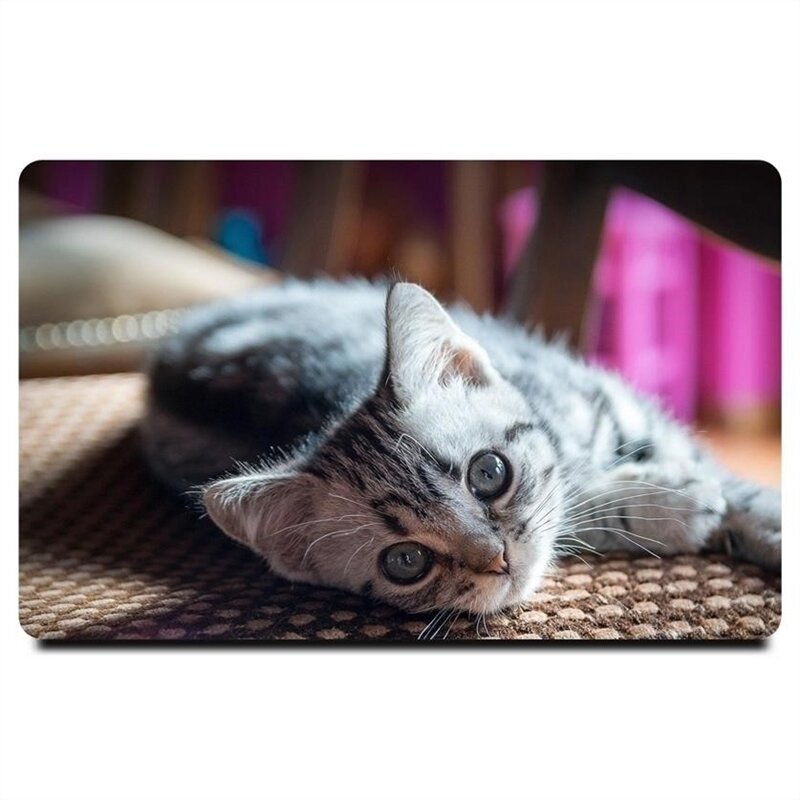 Магнит на холодильник "Котики"