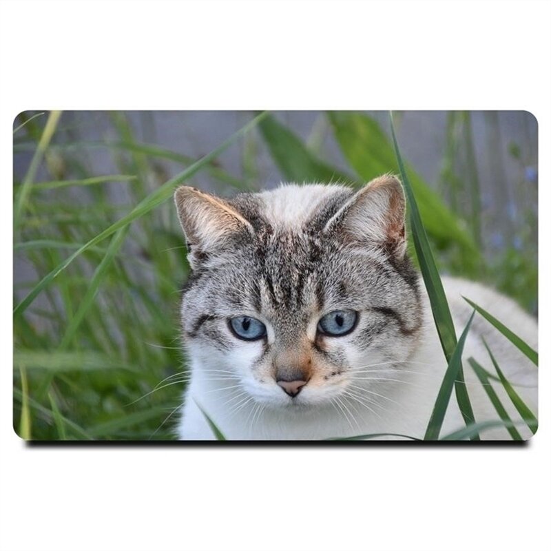 Магнит на холодильник "Котики"