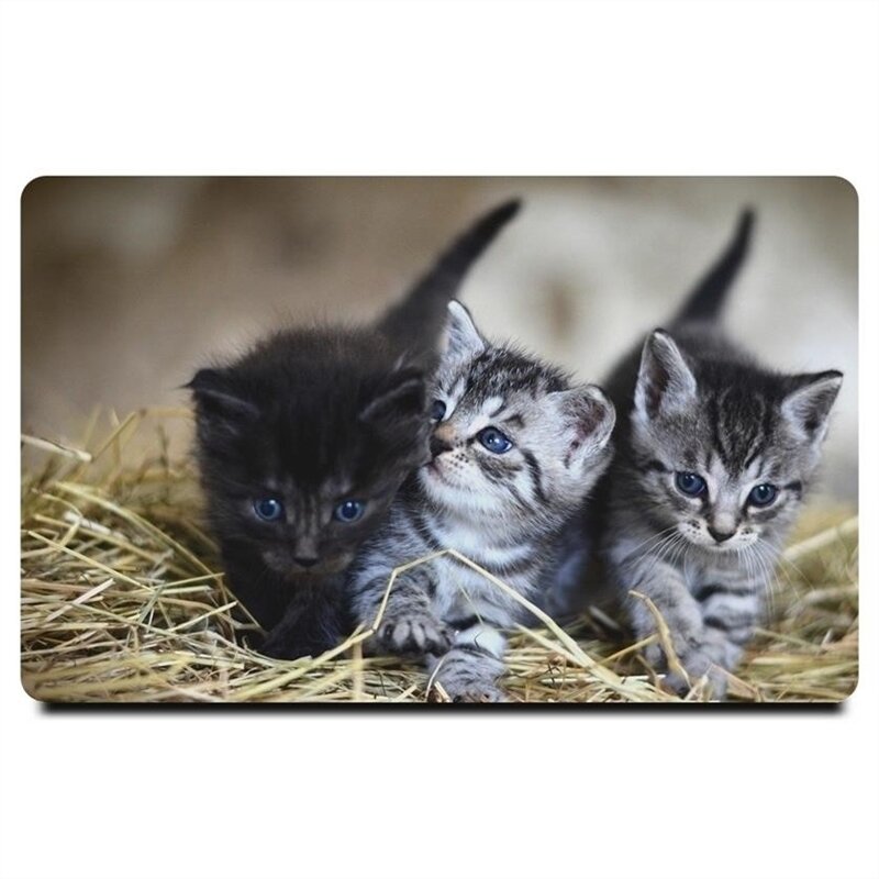 Магнит на холодильник "Котики"