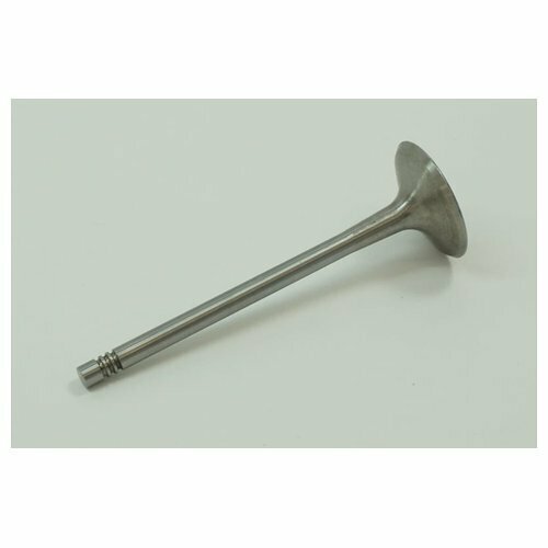 Клапан выпускной VAG 06D109611L
