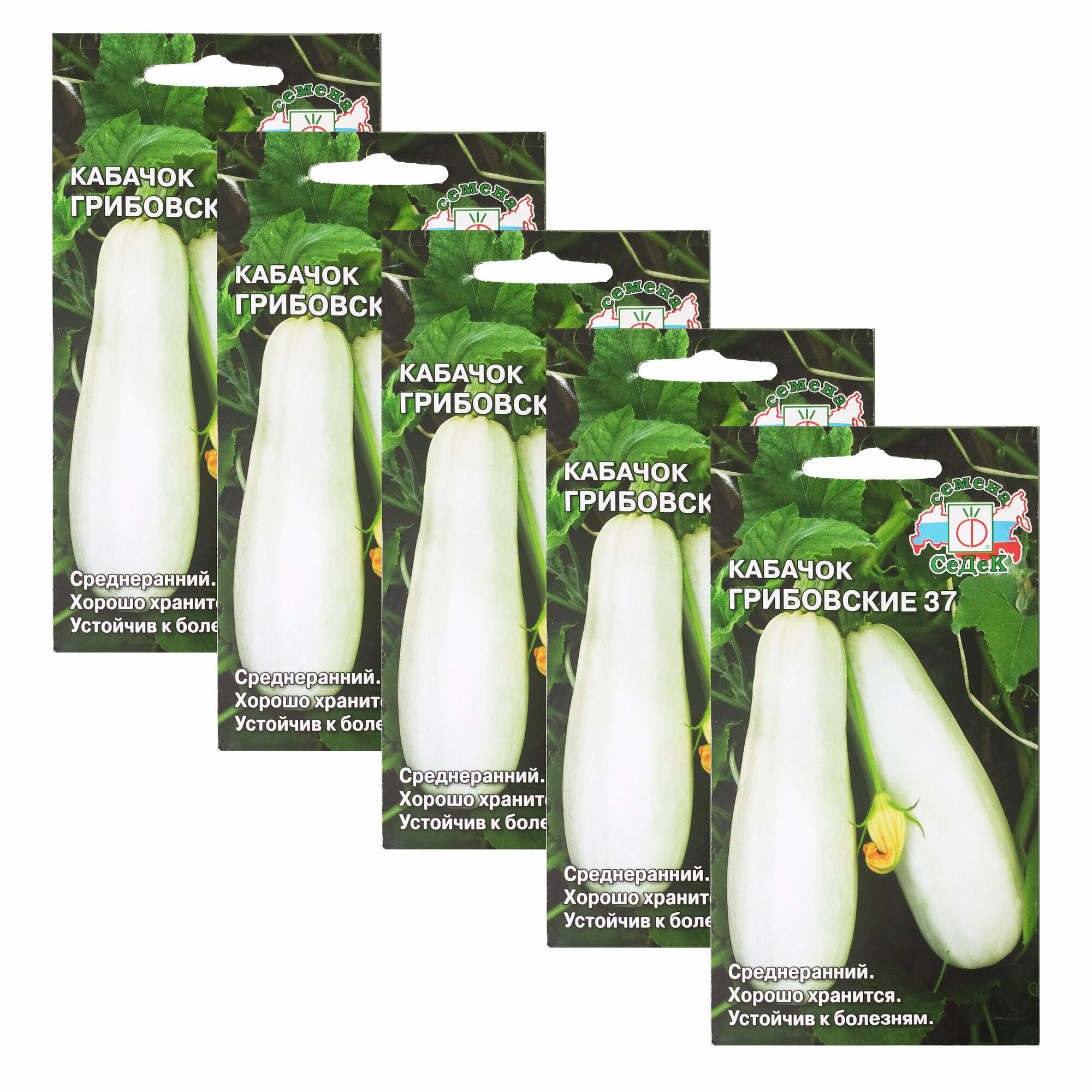 Семена Кабачок Грибовский 37 (белоплодный) 2 г (СеДеК) , 5 упаковок * 2 г