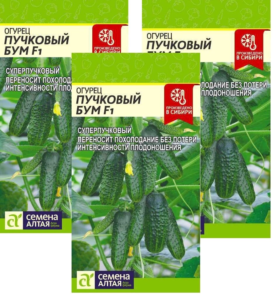 Семена Огурец Пучковый бум 5 шт (семян) (Семена Алтая) , 3 пакетика * 5 шт