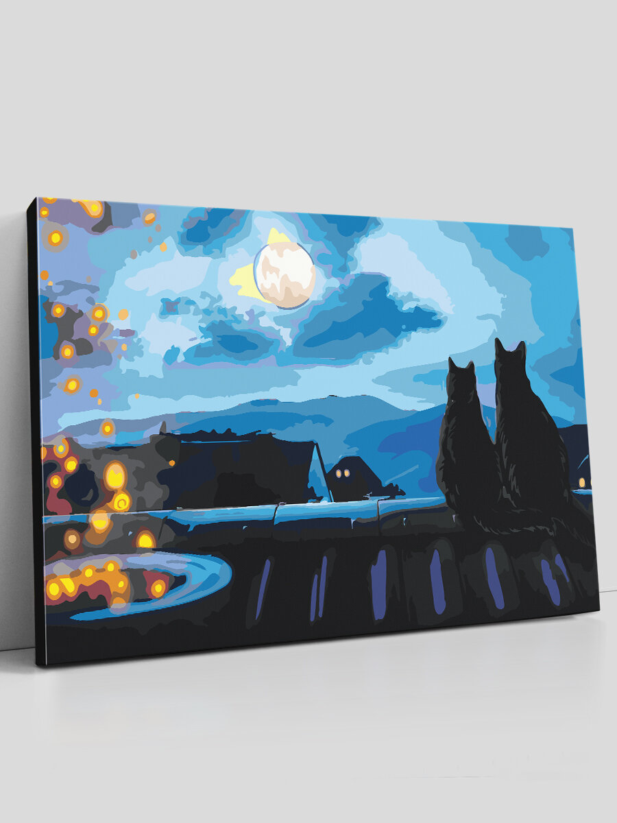 Картина по номерам на холсте с подрамником, "Два кота на крыше", 40х60 см