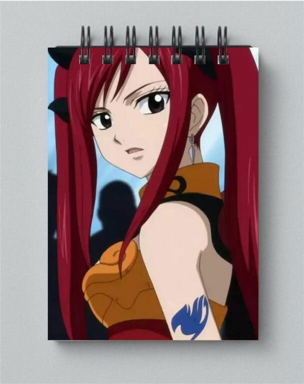 Блокнот Хвост Феи, Fairy Tail №6, А4