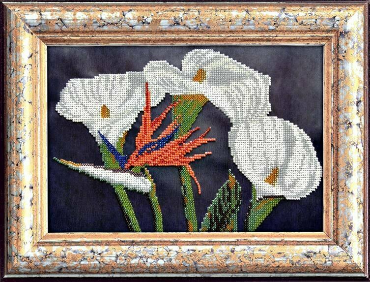 Каллы B-30(В-30)