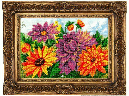 Георгины B-116(В-116)