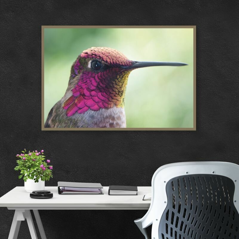 Постер Макро Портрет Колибри 40х30 см в тубусе ПолиЦентр