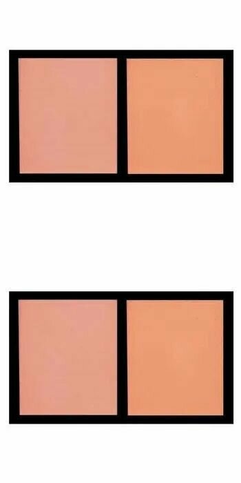 Farres cosmetic Румяна компактные 2012, тон 05, 2 шт