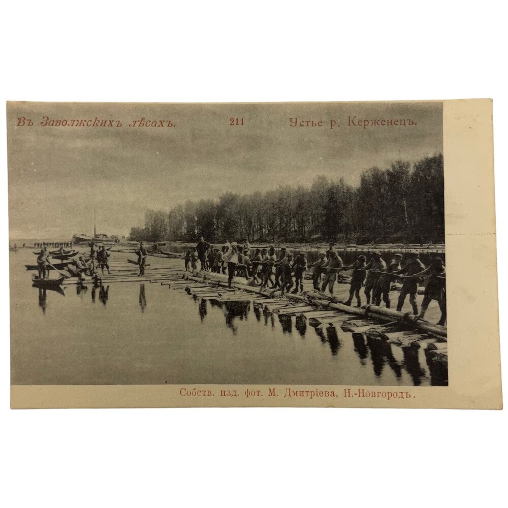 Почтовая открытка "В Заволжских лесах. Устье р. Керженец" 1900-1917 гг. Российская Империя