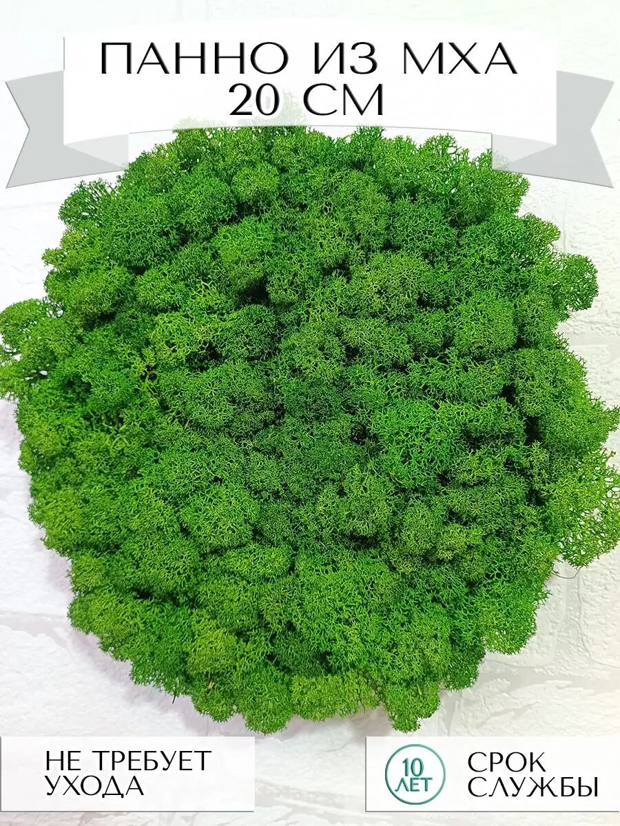 Панно круглое из стабилизированного мха ягеля