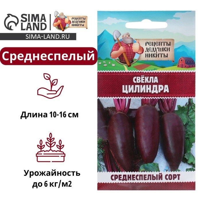 Семена Свёкла "Цилиндра", 2 г, 10245136
