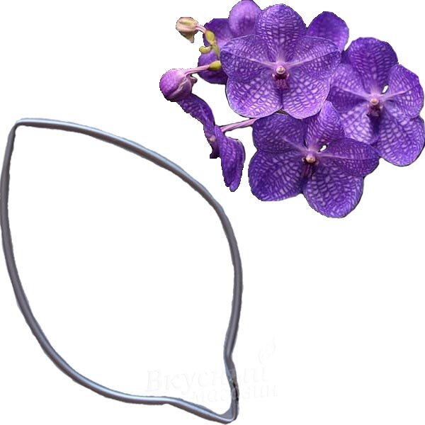 Каттер цветочный Орхидея Ванда Лепесток M, 5х3,5 см. ct-vnr021 (Набор из 4 шт.)