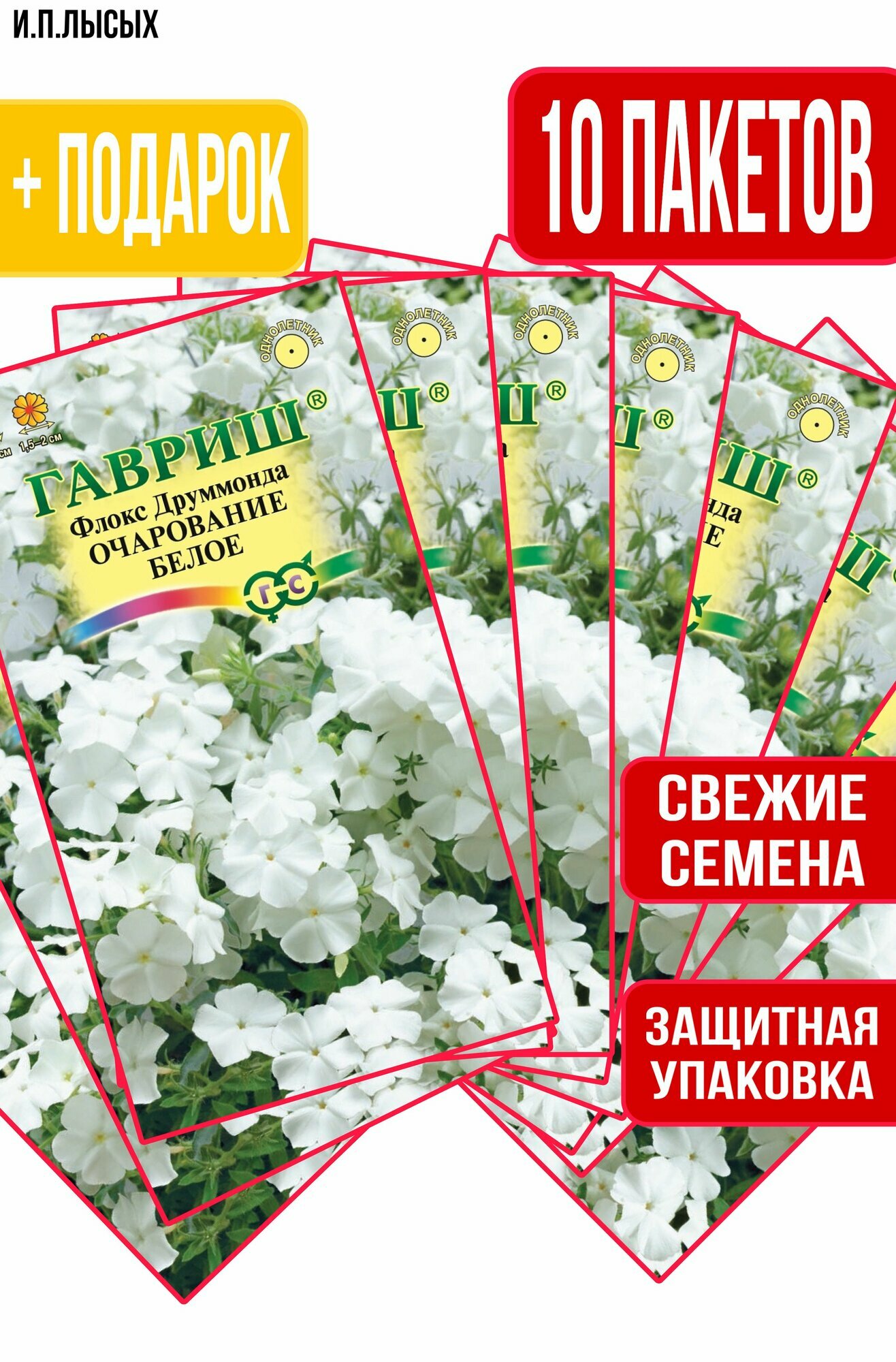 Семена Флокс Очарование белое, Друммонда