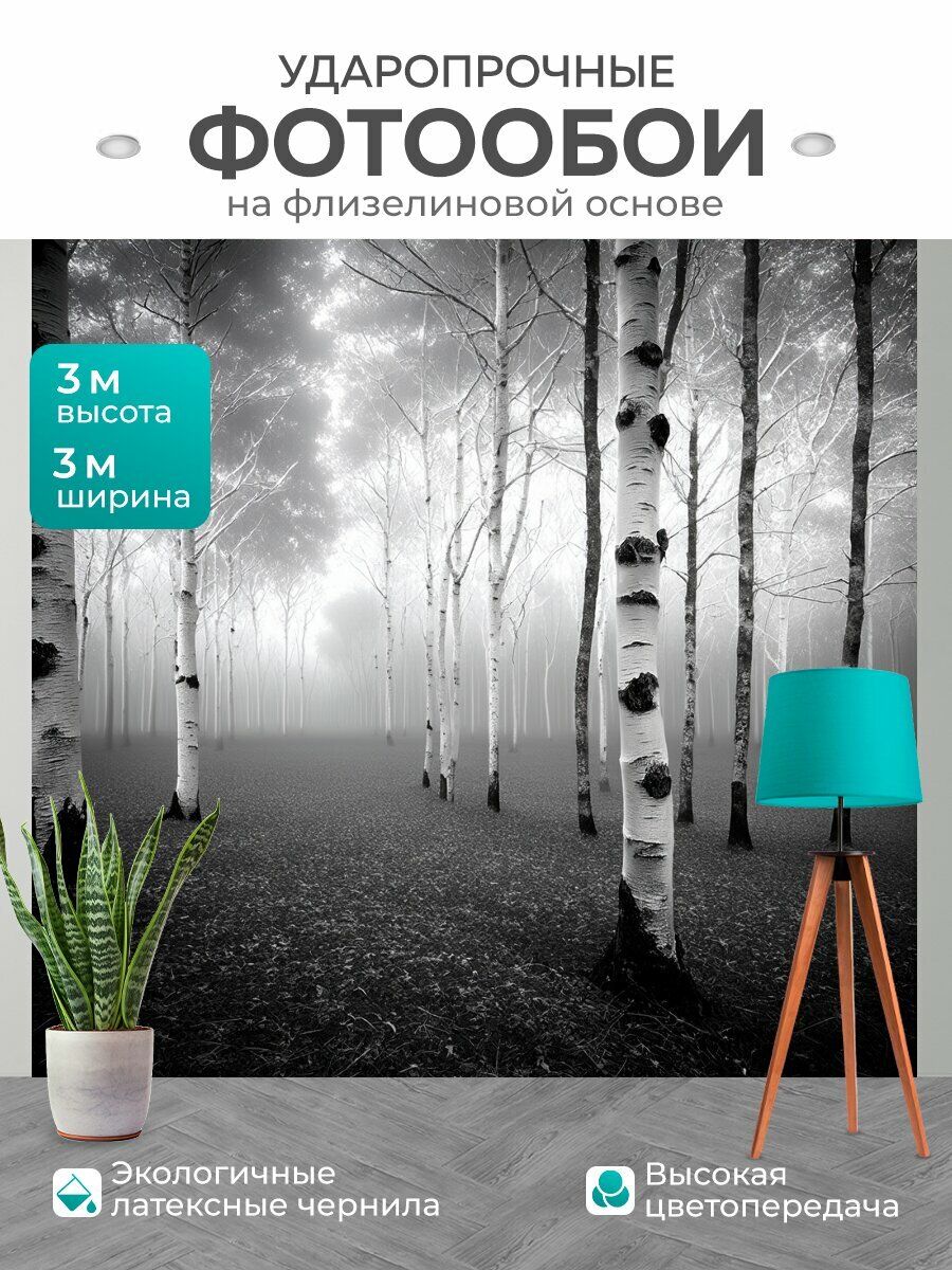 Фотообои моющиеся ударопрочные "Черно-белый с окутанным туманом берёзовым лесом, где белые стволы деревьев создают игру теней и света. сцена может" 300x300 см. флизелиновые на стену
