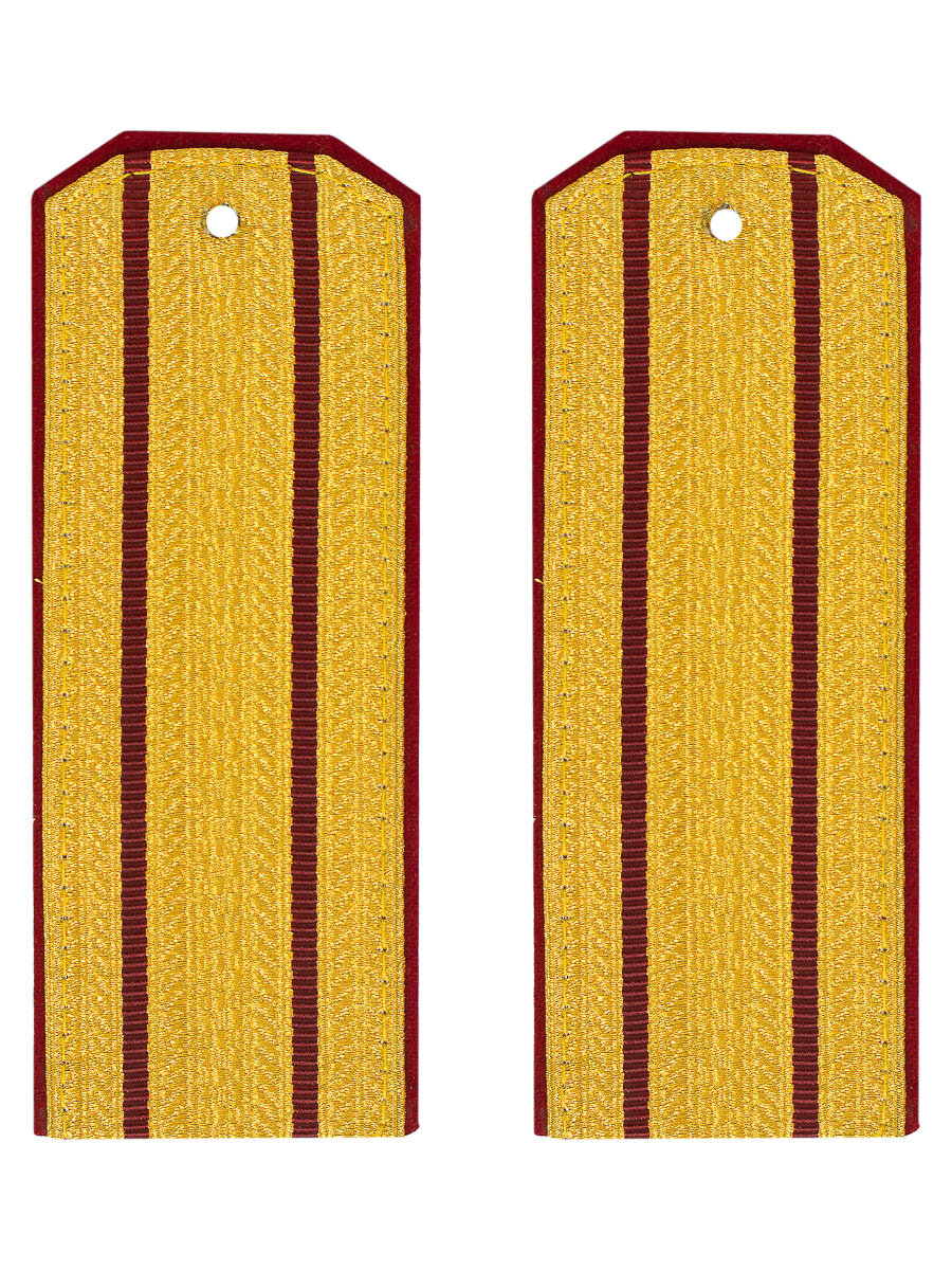 Погоны Росгвардии Фсвнг парадные золотые 2 просвета галун 14х5см картон