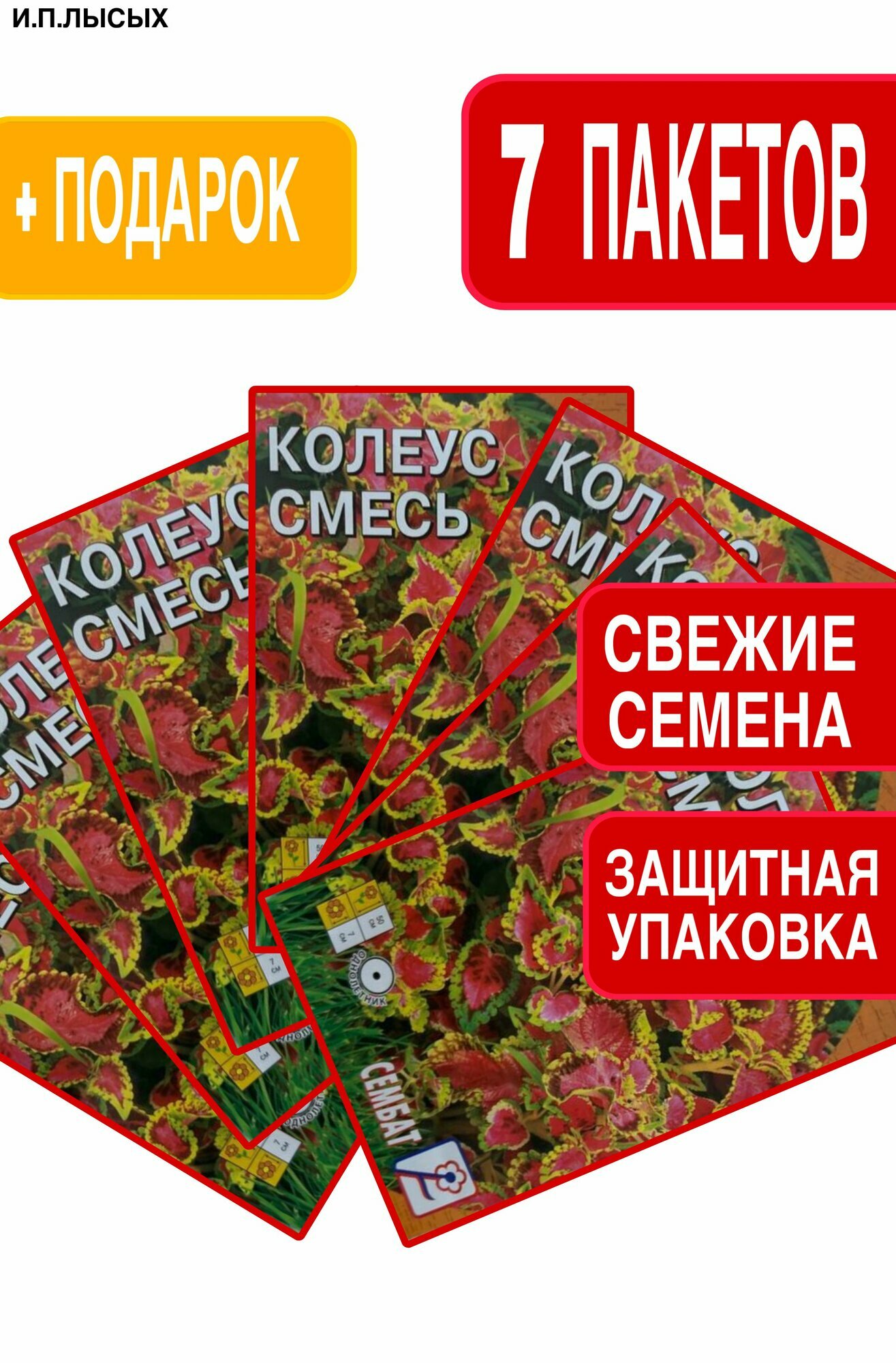 Семена Колеус смесь