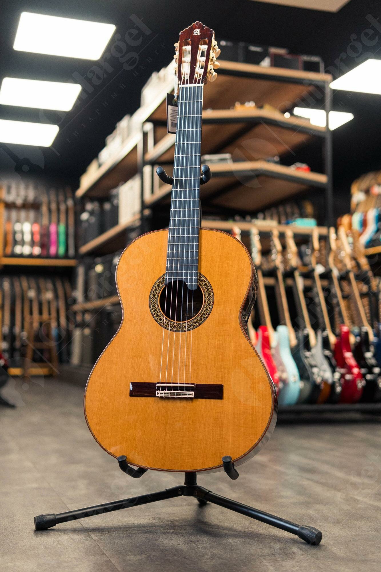 Классическая гитара Alhambra Premier Pro Madagascar 7.631 с кейсом