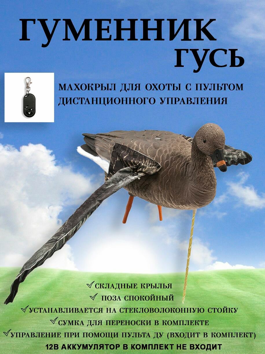 Чучело гуся Гуменника, махокрыл (поза-спокойный)