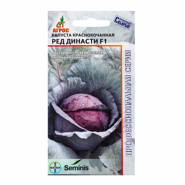 Семена Капуста краснокочанная, Ред Династи , F1, 10 шт, Seminis, Агрос