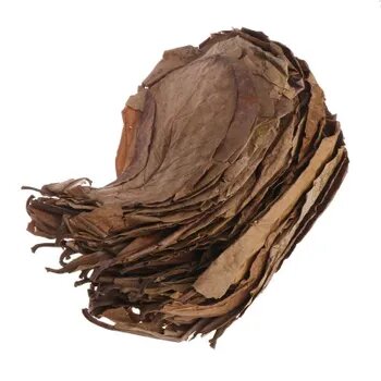 Листья индийского миндаля 5,9-11,8 дюймов Кондиционер для воды Природная среда обитания для рыбок бетта