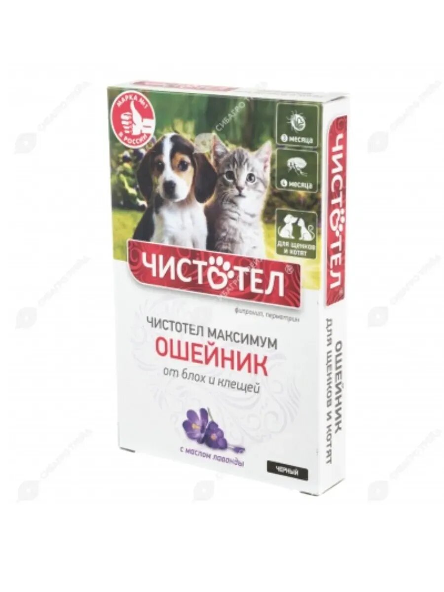 Чистотел максимум ошейник для щенков и котят, чёрный