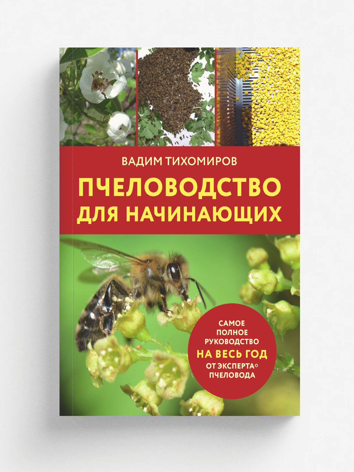 Пчеловодство для начинающих