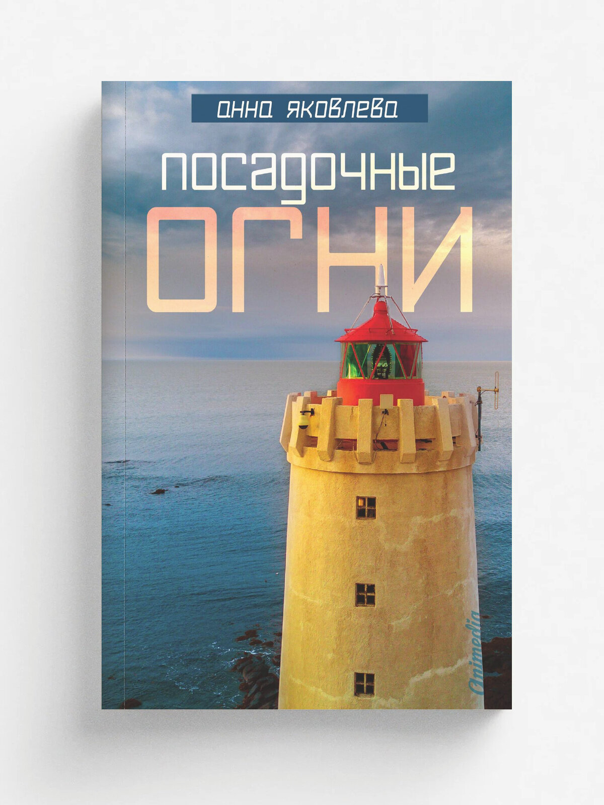 Посадочные огни