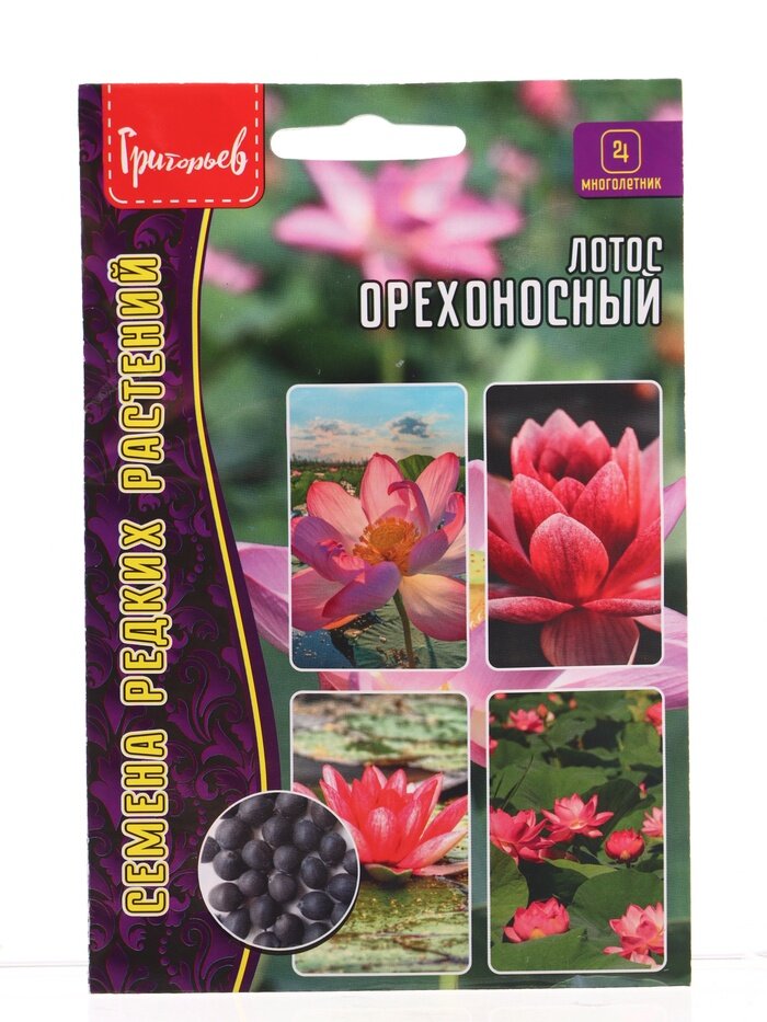 Семена цветов Лотос «Орехоносный», 2 шт. «Григорьев»