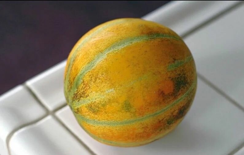 Коллекционные семена дыни F1 Ожен