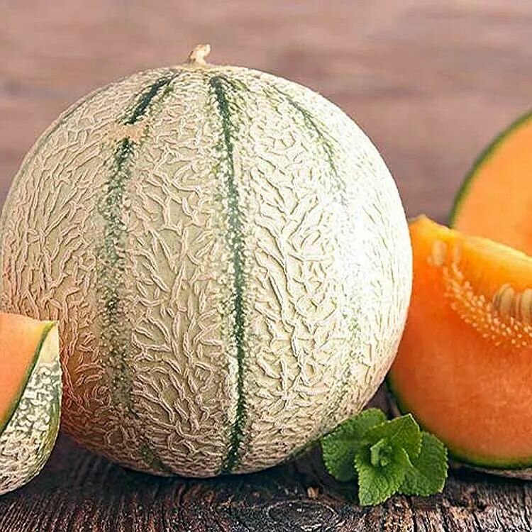 Коллекционные семена дыни Ранняя Любовь