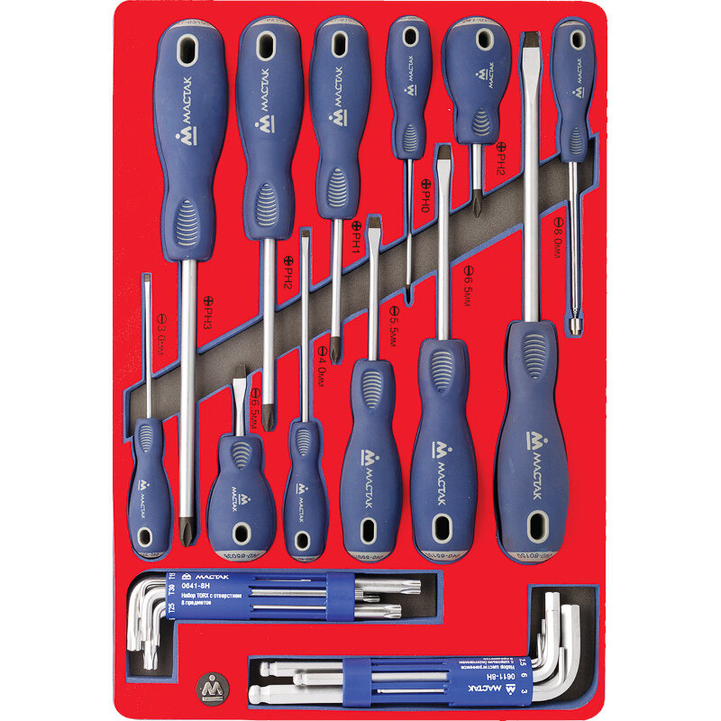 Мастак Набор отверток, шестигранников и TORX, ложемент, 27 предметов