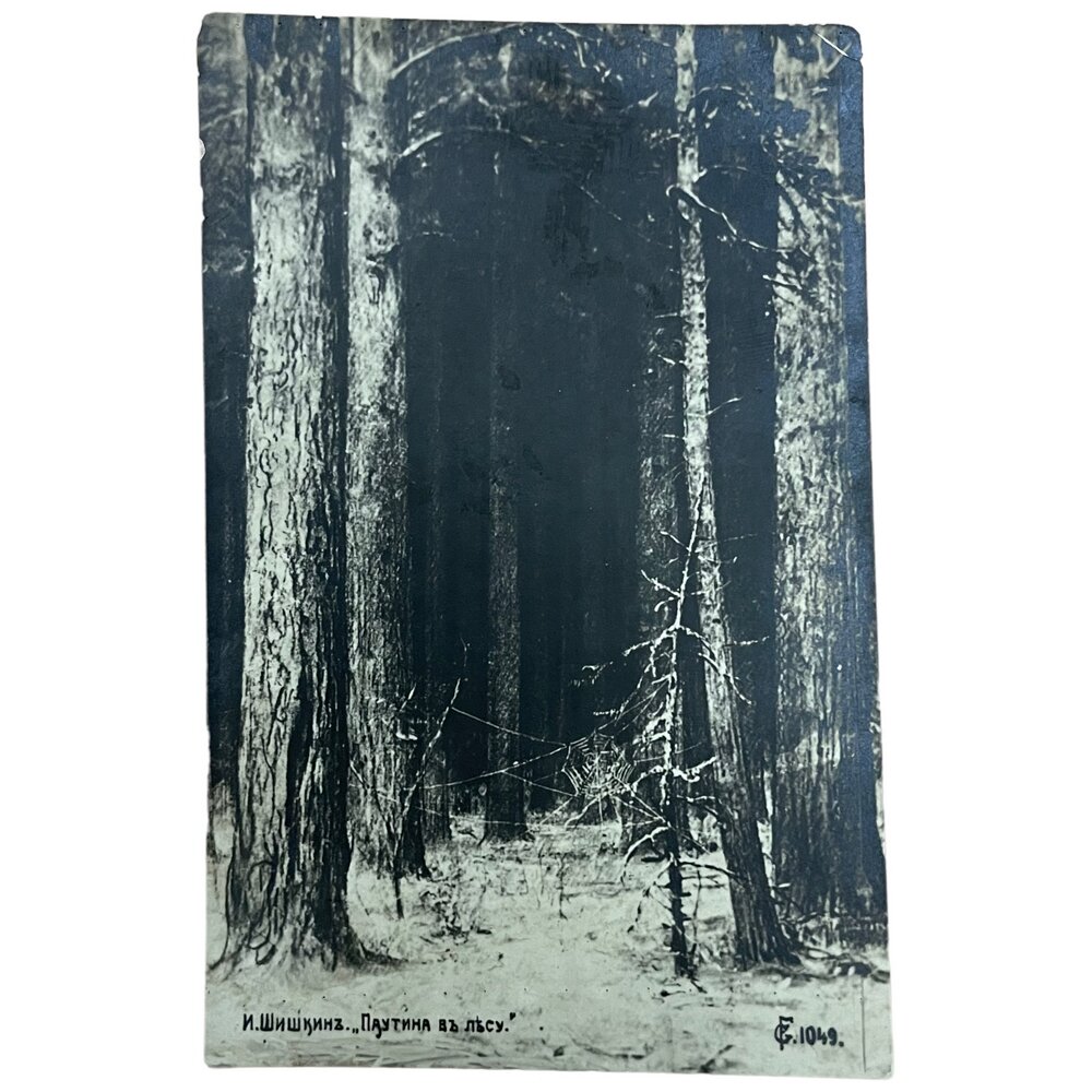 Почтовая открытка "И. Шишкин. Паутина в лесу" 1900-1912 гг. Российская Империя