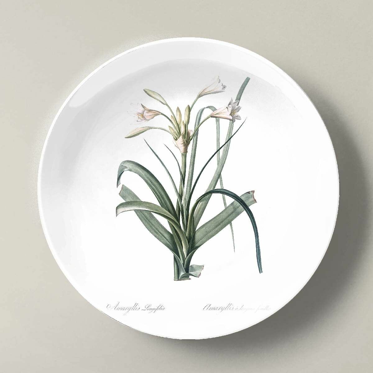 Декоративная тарелка с подвесом Диаметр: 200мм Амариллис