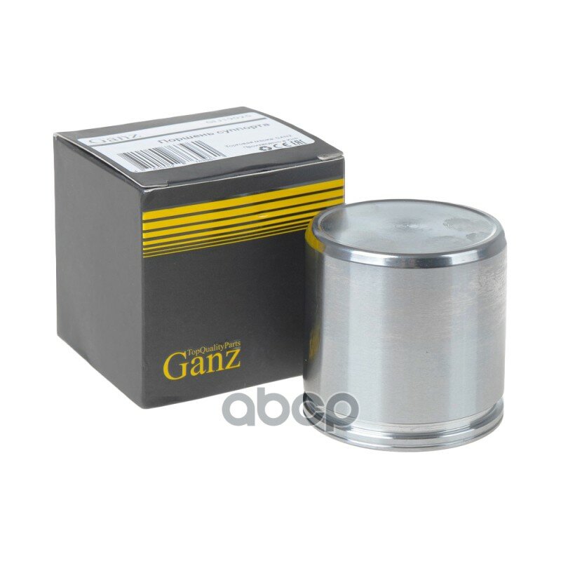 Поршень суппорта GANZ арт. GIJ19025