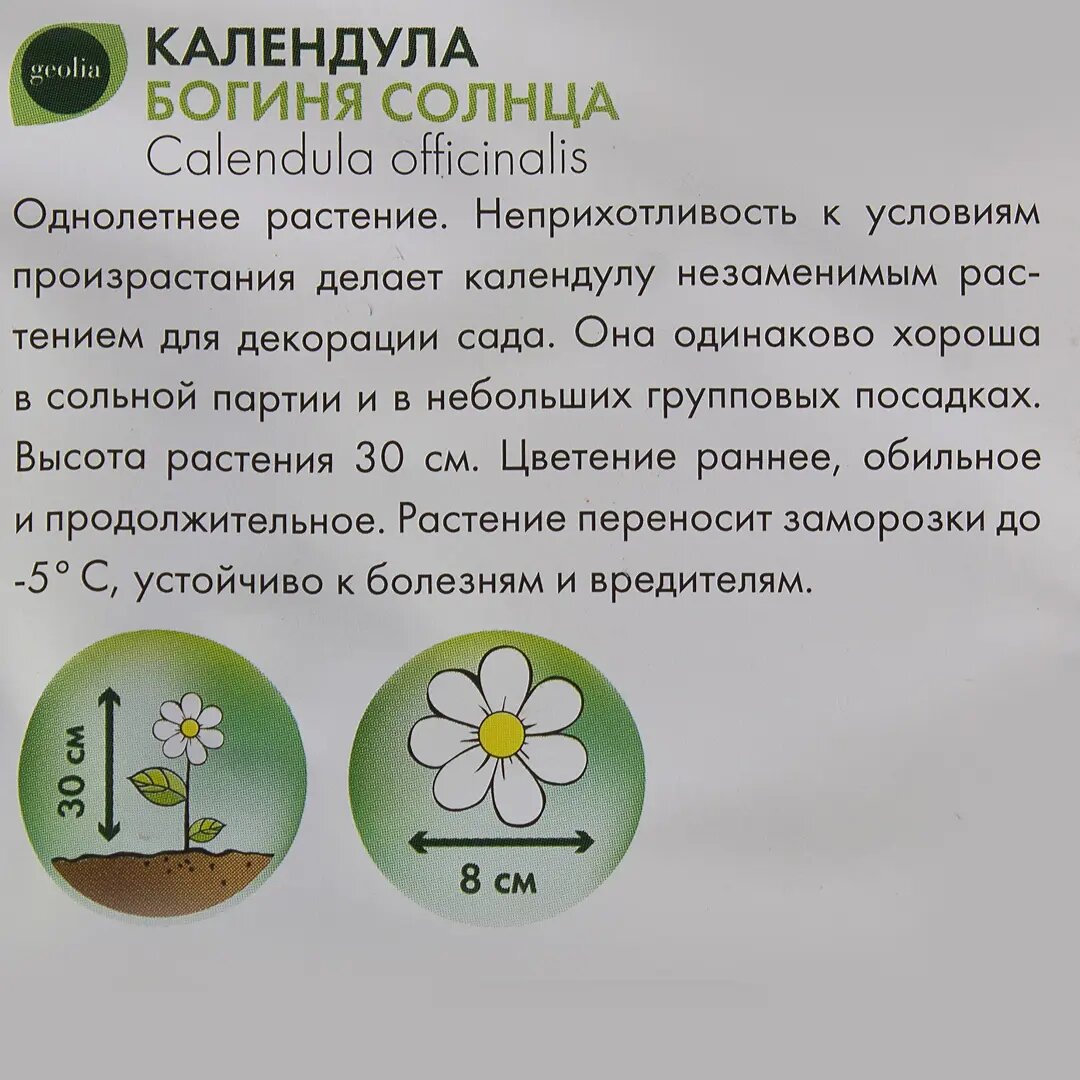 Календула Geolia «Богиня Солнца» — фото 1