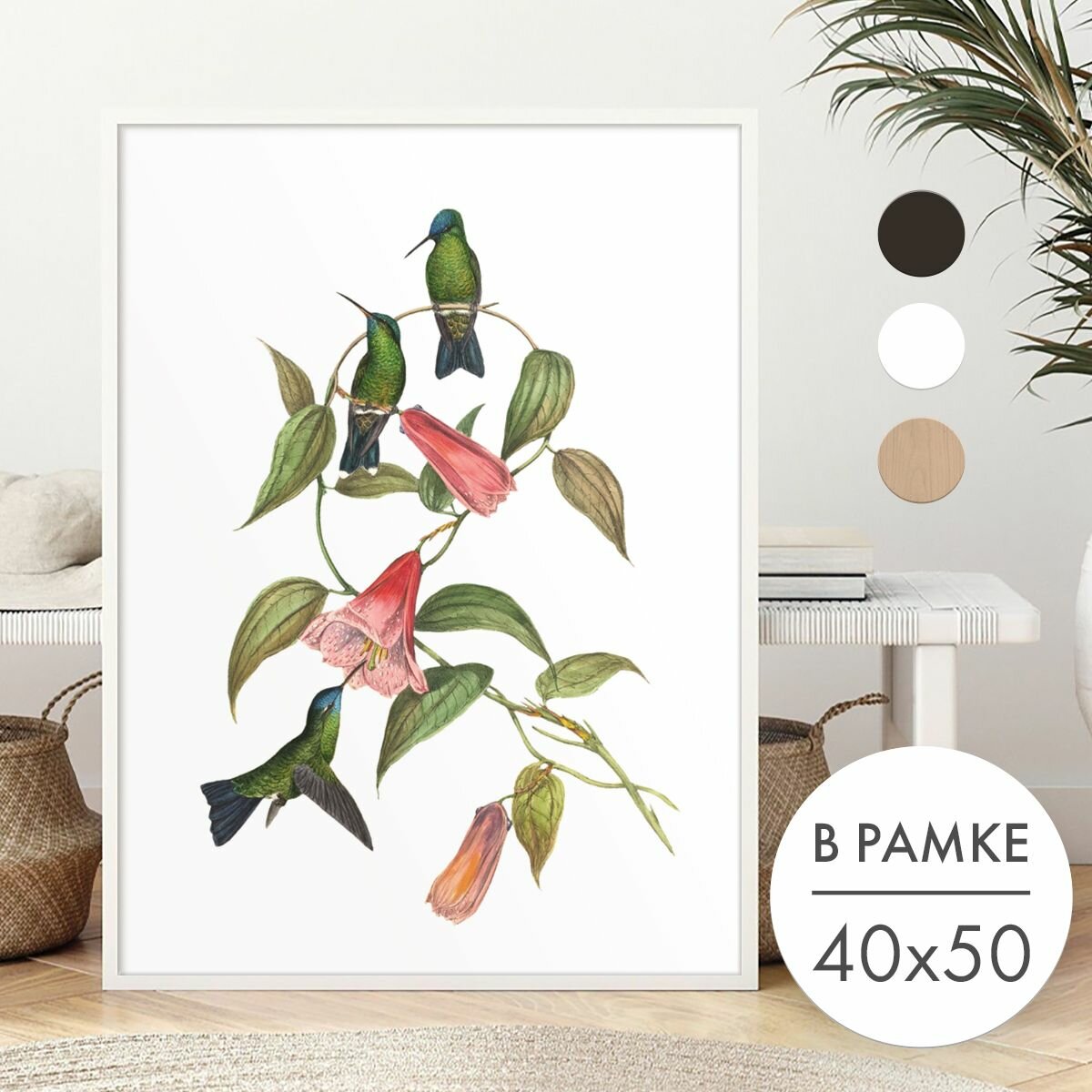 Постер 40х50 В рамке "Колибри" для интерьера