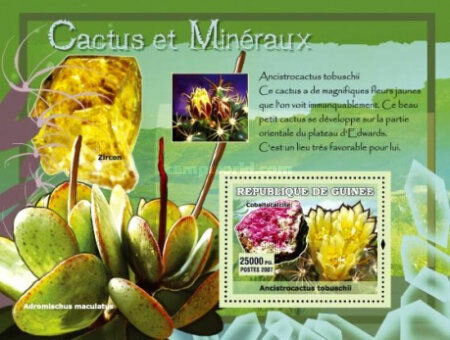 Почтовые марки Гвинея 2007г. "Кактус и цветы, Минералы" Кактусы, Цветы, Минералы MNH