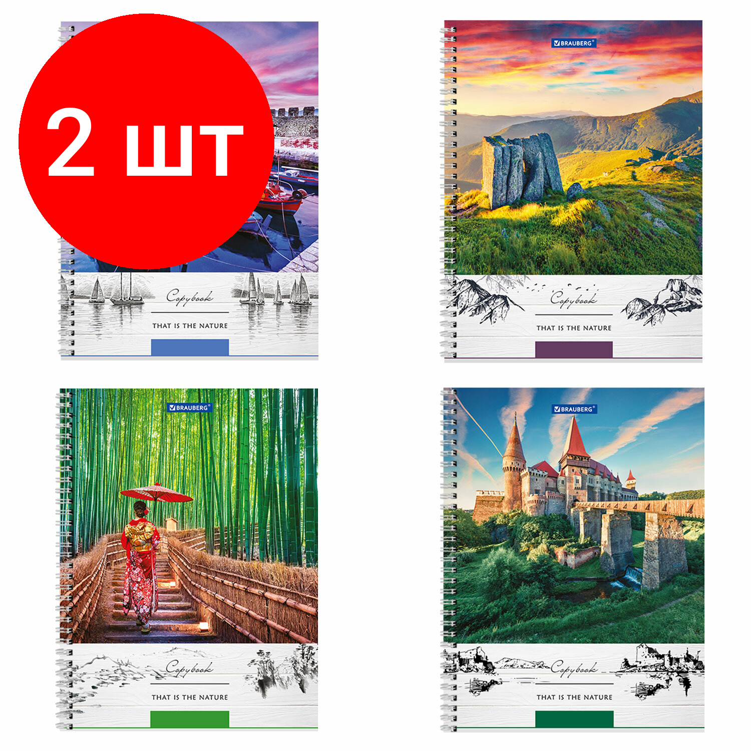 Комплект 2 шт, Тетрадь А4, 80 л, BRAUBERG, гребень, клетка, обложка твердая, "Nature", 404054