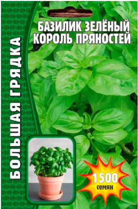 Базилик зелёный Король Пряностей редкие семена (2 упаковки по 1500 семян)
