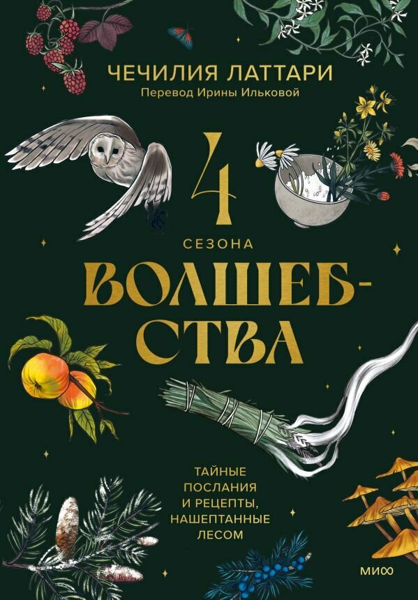 Манн, Иванов и Фербер 4 сезона волшебства. Тайные послания и рецепты, нашептанные лесом, Чечилия Латтари, 2023 г