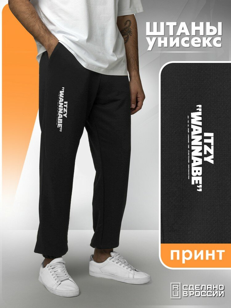 Брюки джоггеры Бруталити