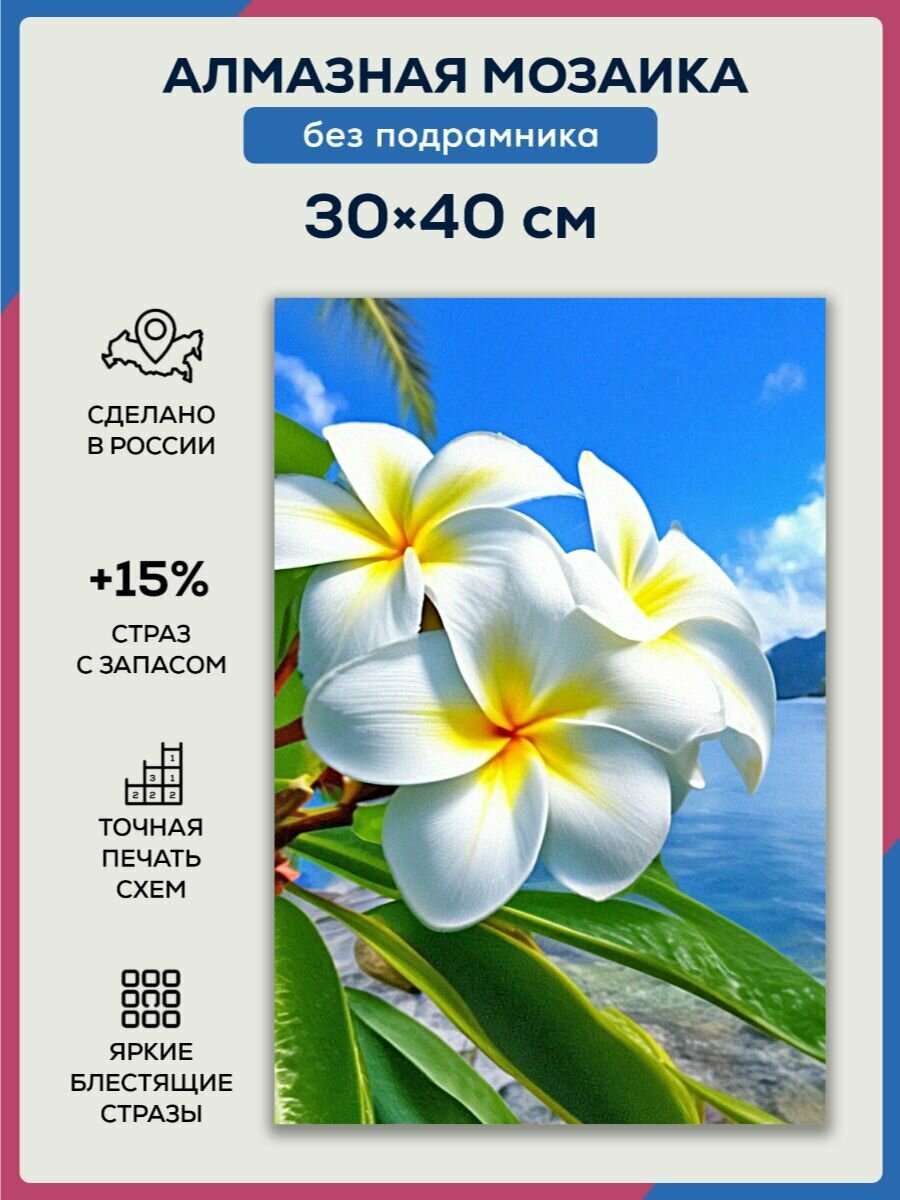 Алмазная мозаика 30x40 Плюмерия у воды без подрамника
