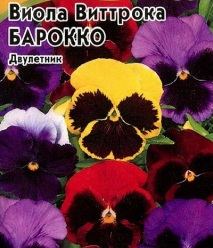 Семена растения виола виттрока барокко, смесь